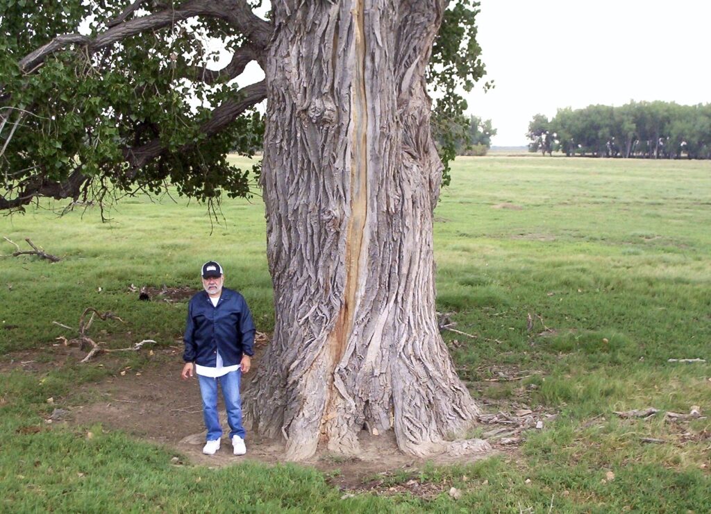 The Witness Tree – The Lost Sand Creek