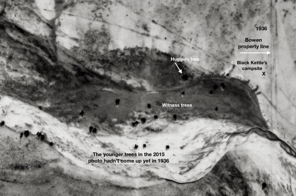 The Witness Tree – The Lost Sand Creek