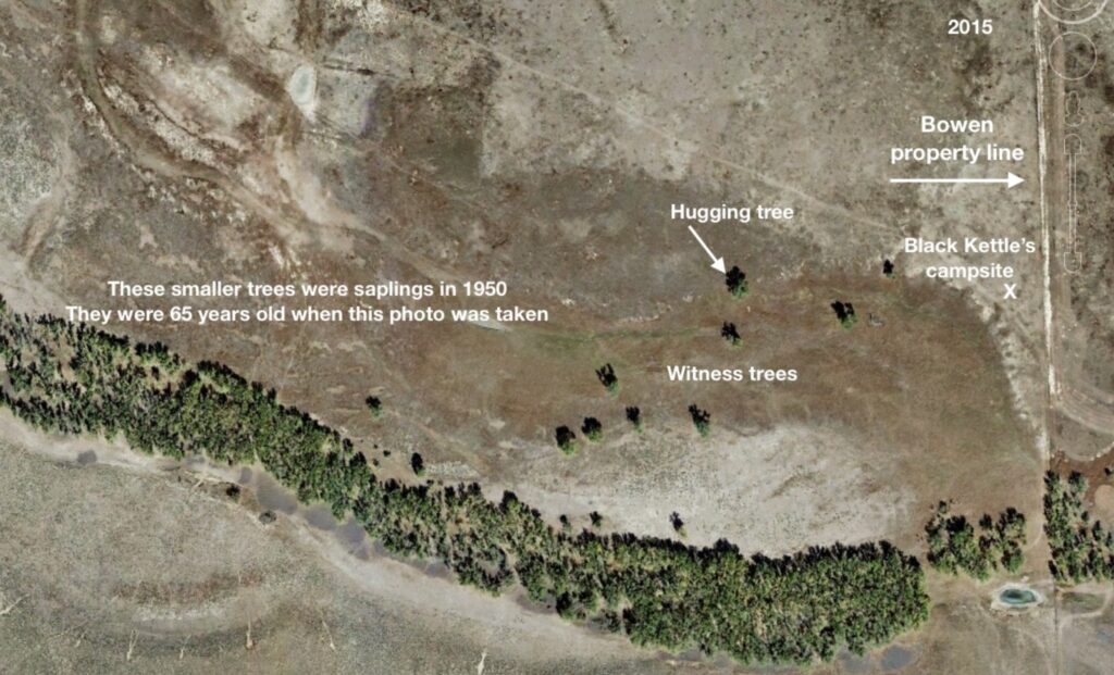 The Witness Tree – The Lost Sand Creek